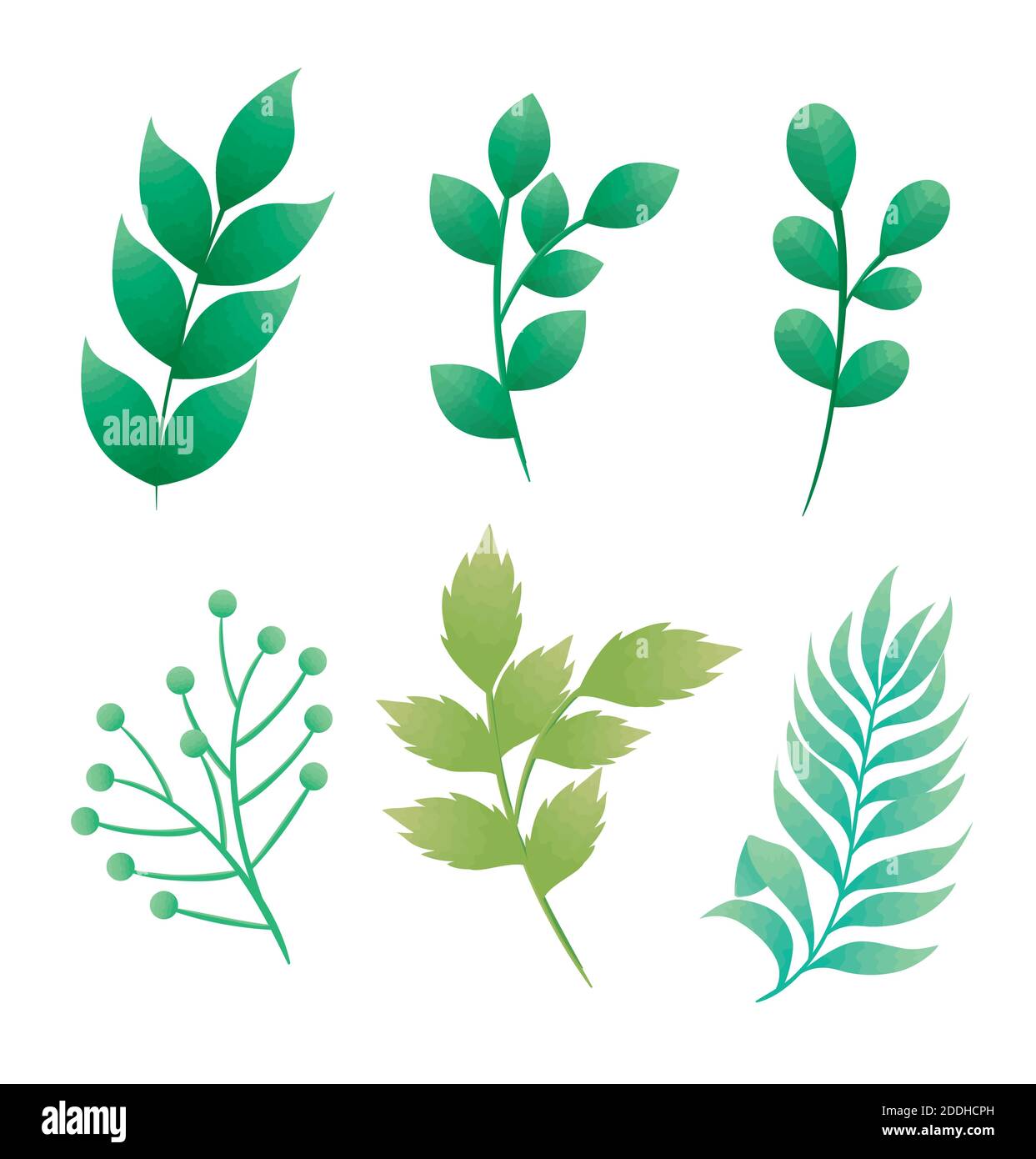 bundle of branches with leafs icons Stock Vector Image & Art - Alamy