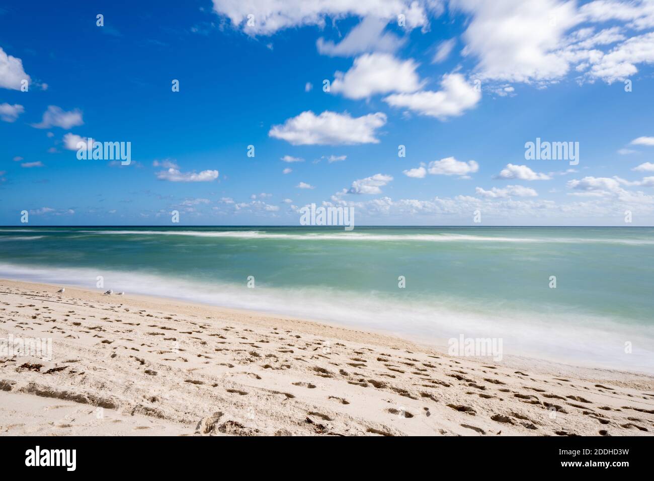 Beautiful beach scene Miami Stock Photo - Alamy
