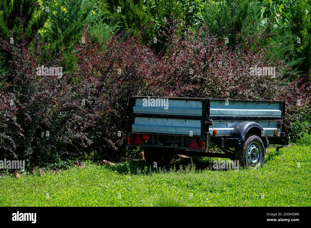 Empty wagon in the summer garden on green grass Stock Photo - Alamy