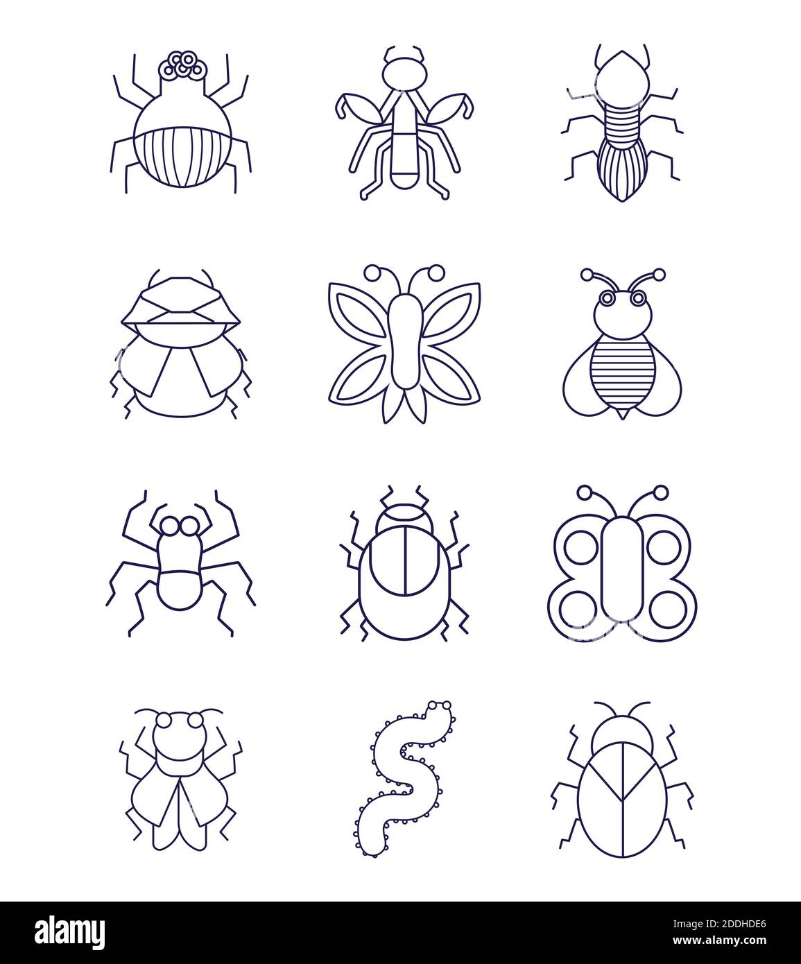 set of different insects or bugs small animals linear style vector ...
