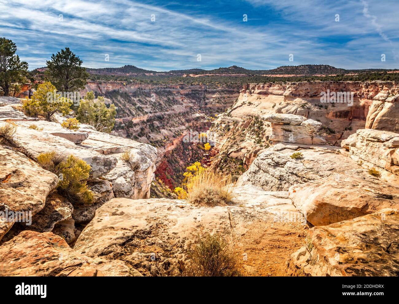 Shivers of hi-res stock photography and images - Alamy