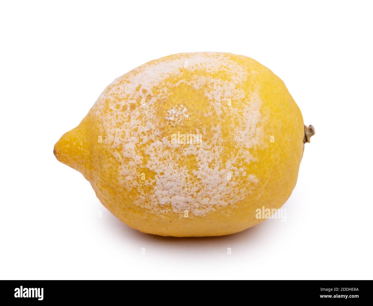 Rotten lemon with mold isolated over white background Stock Photo - Alamy