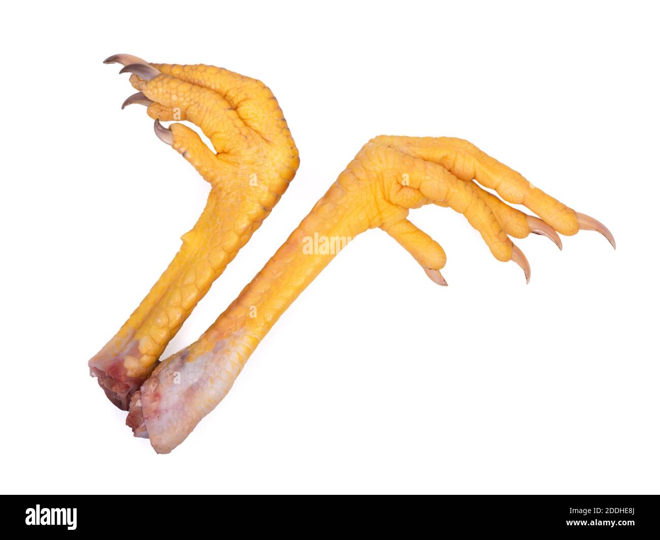 Fresh raw chicken feet or foot chicken paw isolated on white background ...