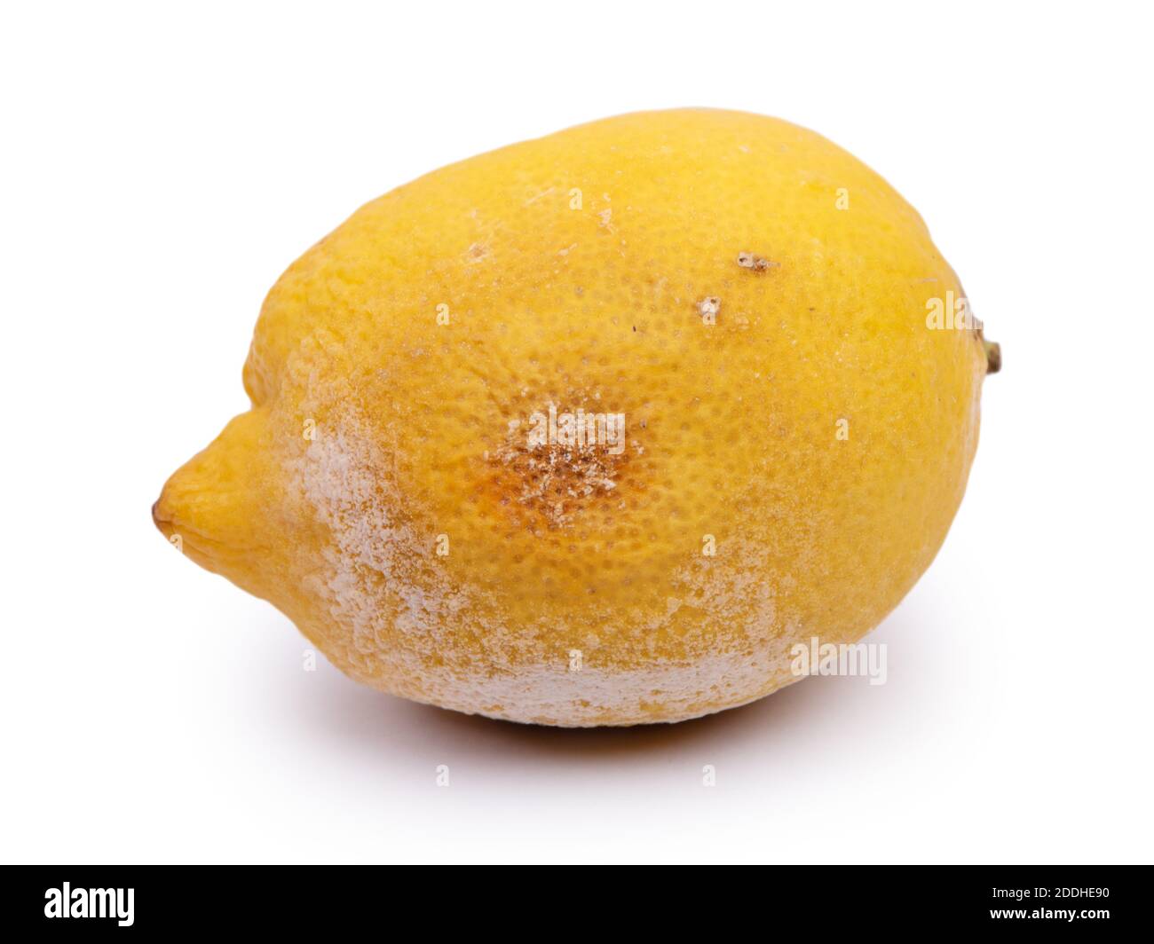 Rotten lemon with mold isolated over white background Stock Photo - Alamy