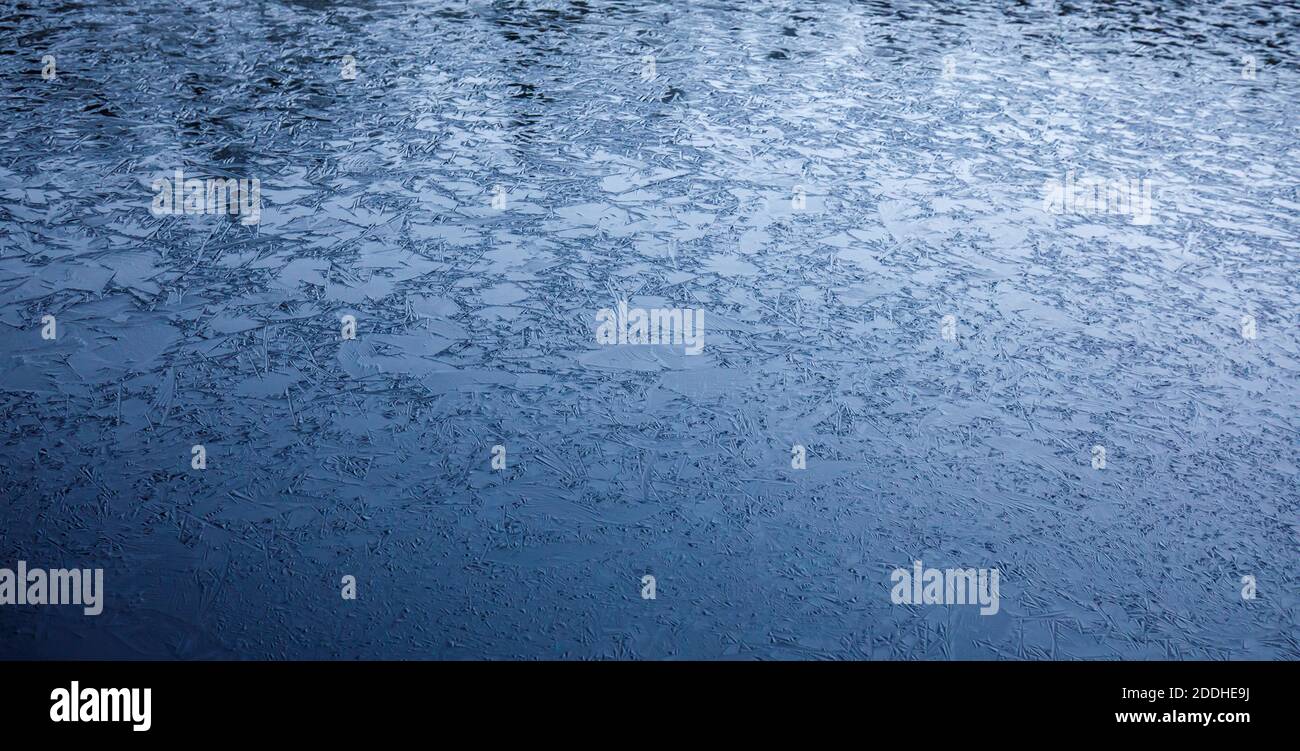 Closeup of the first ice skim on lake water surface at Winter , Finland ...