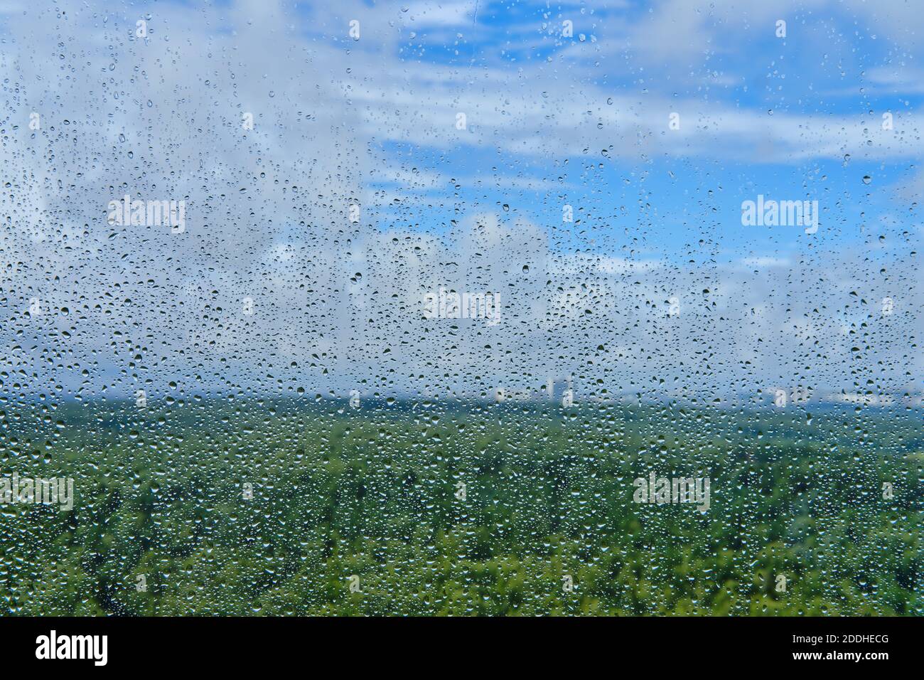 Spring park with tree through window with water drops after rain ...