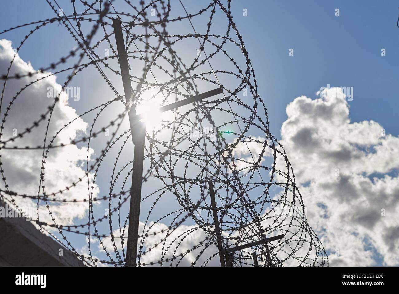 Round barbed wire on background of sun and dark clouds, prison fence ...