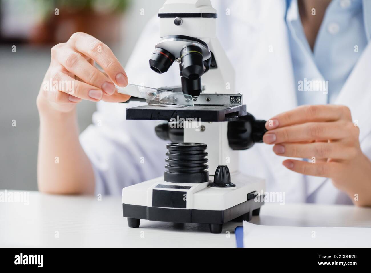 cropped view of female scientist holding glass test plate near ...