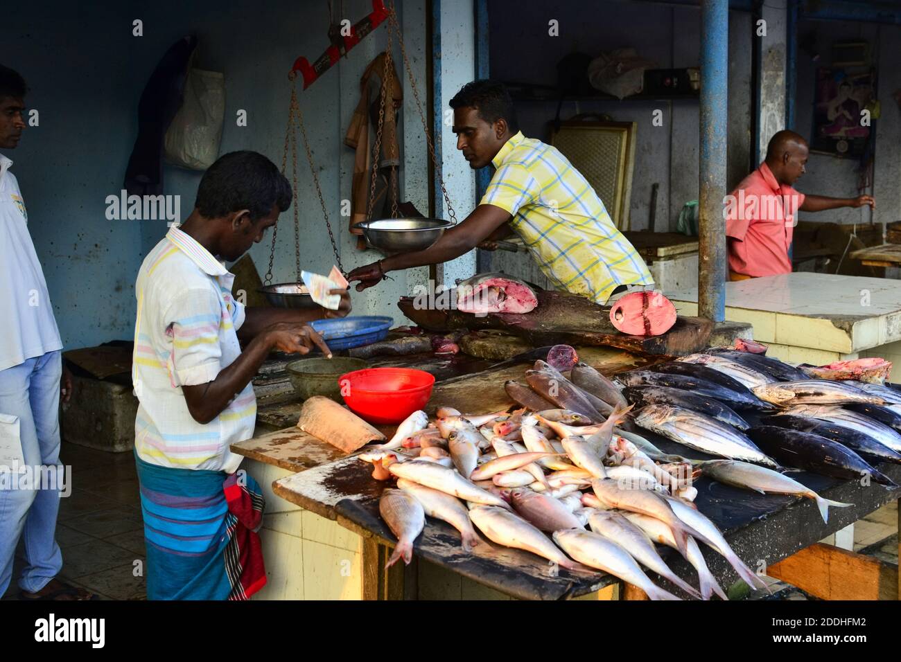 Sri lanka fish hi-res stock photography and images - Alamy