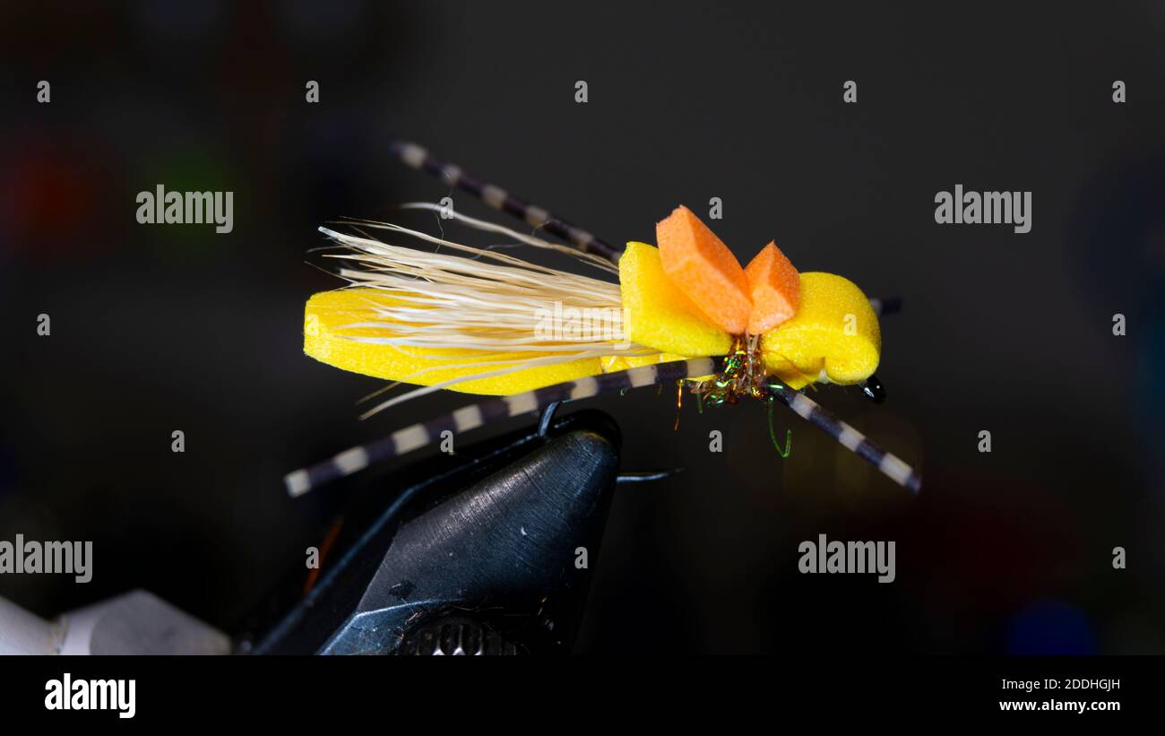 Hopper fly for fishing Stock Photo - Alamy