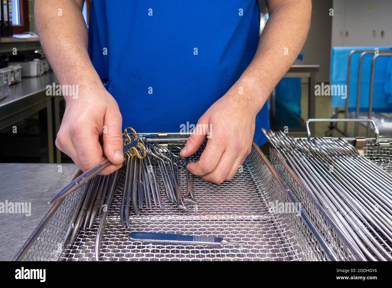 Cleaned surgical instruments are sorted into an instrument tray Stock ...