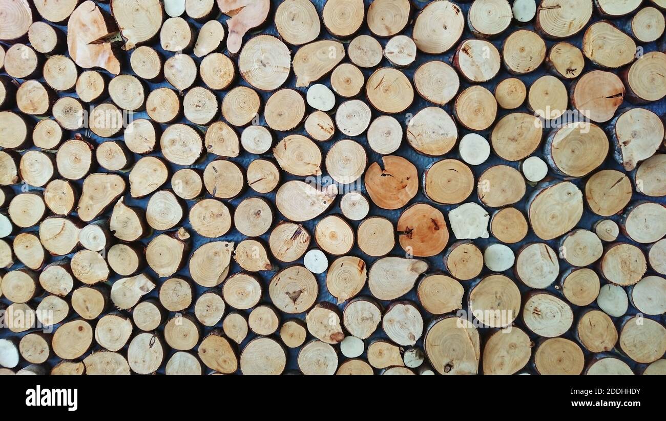 A Top view of round tree slices on the table under the lights - perfect ...