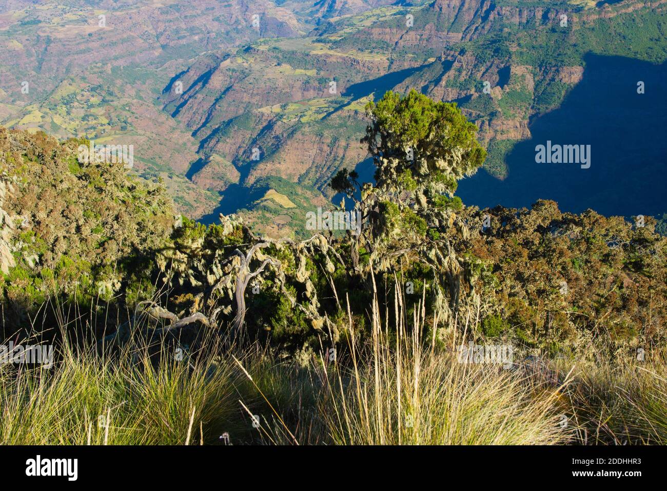 Simian mountains national park hi-res stock photography and images - Alamy