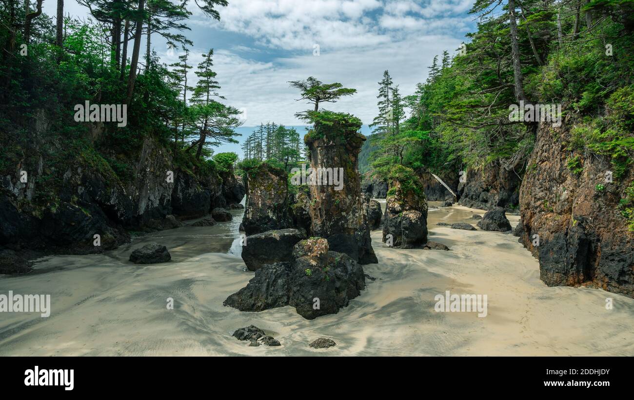 Cape Scott sea stacks Stock Photo - Alamy