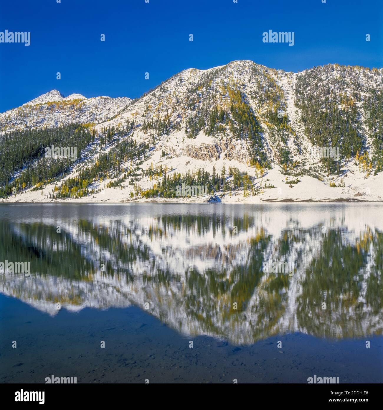 Anaconda Range High Resolution Stock Photography and Images - Alamy