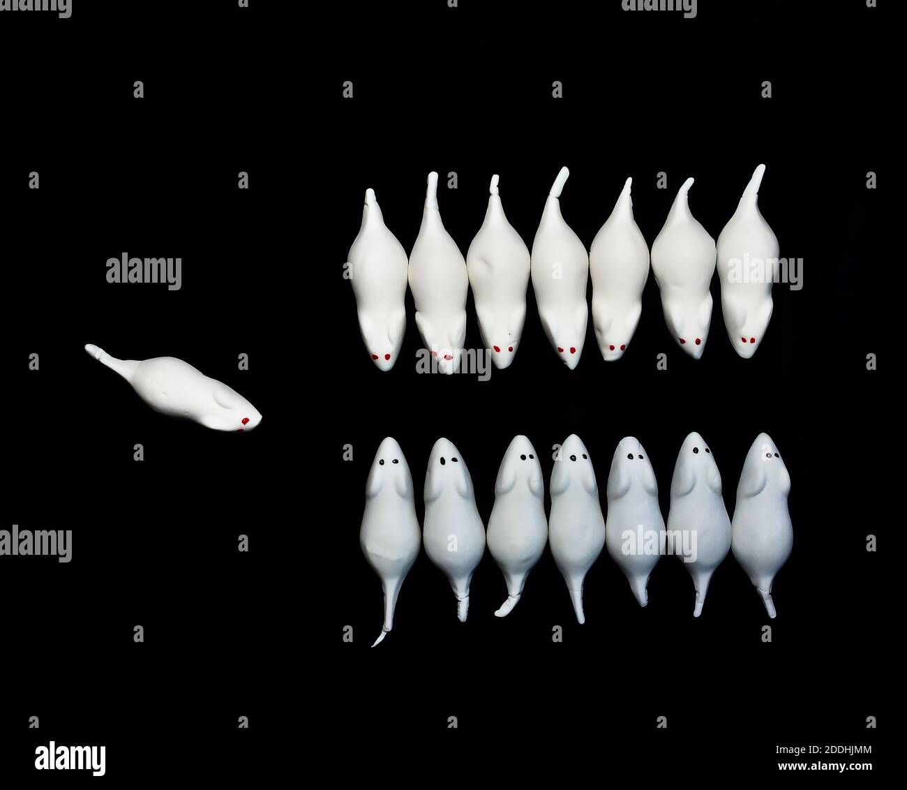 Sweet white mice from marshmallow, foamy sugar, flat layed in two ...