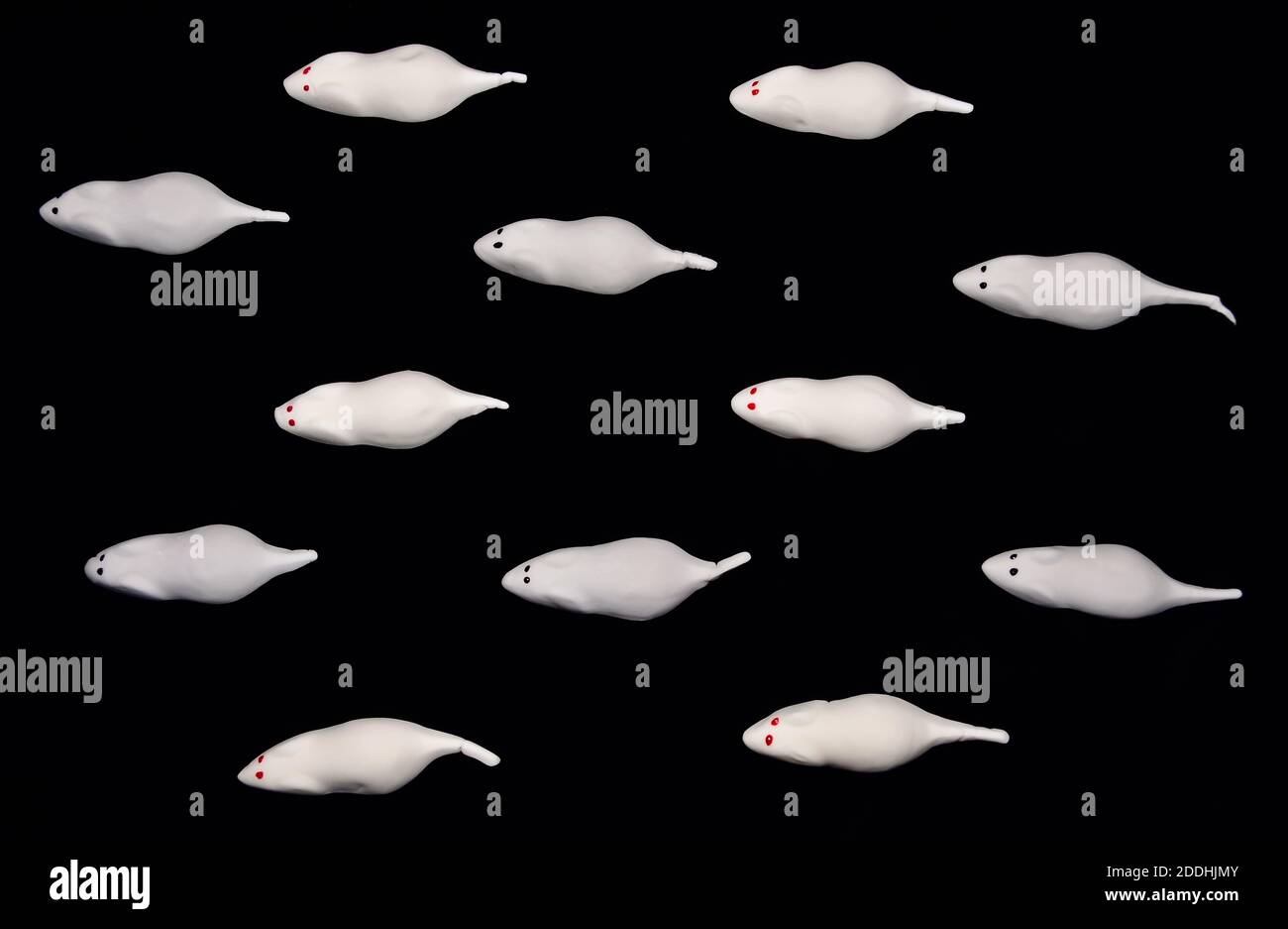 Sweet white mice from marshmallow, foamy sugar, flat layed in form of a ...
