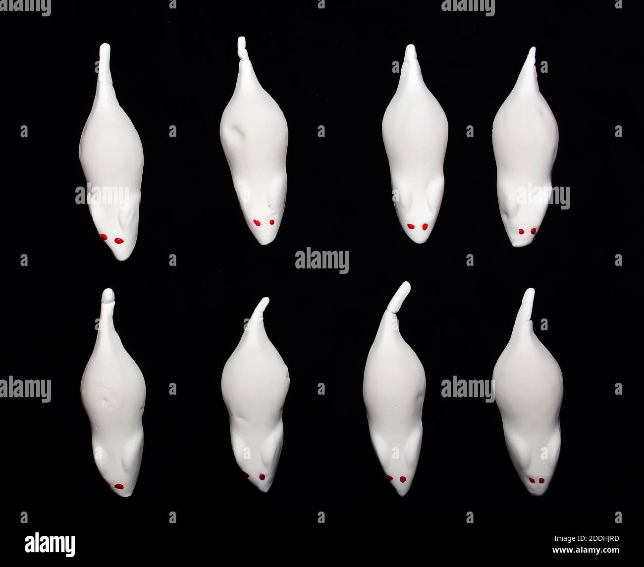 Sweet white mice from marshmallow, foamy sugar, flat layed in form of a ...