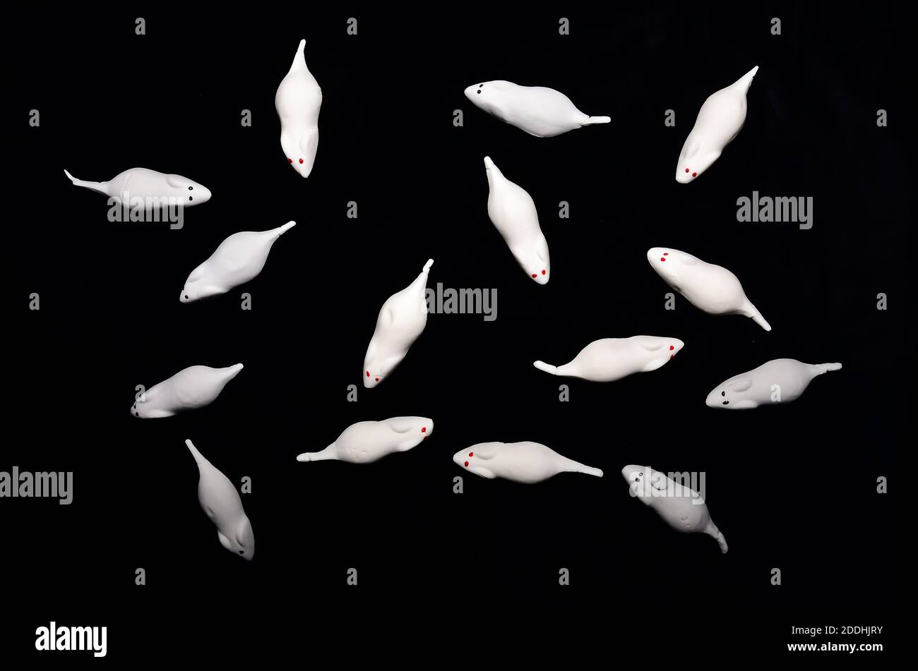 Marshmallow white mice hi-res stock photography and images - Alamy