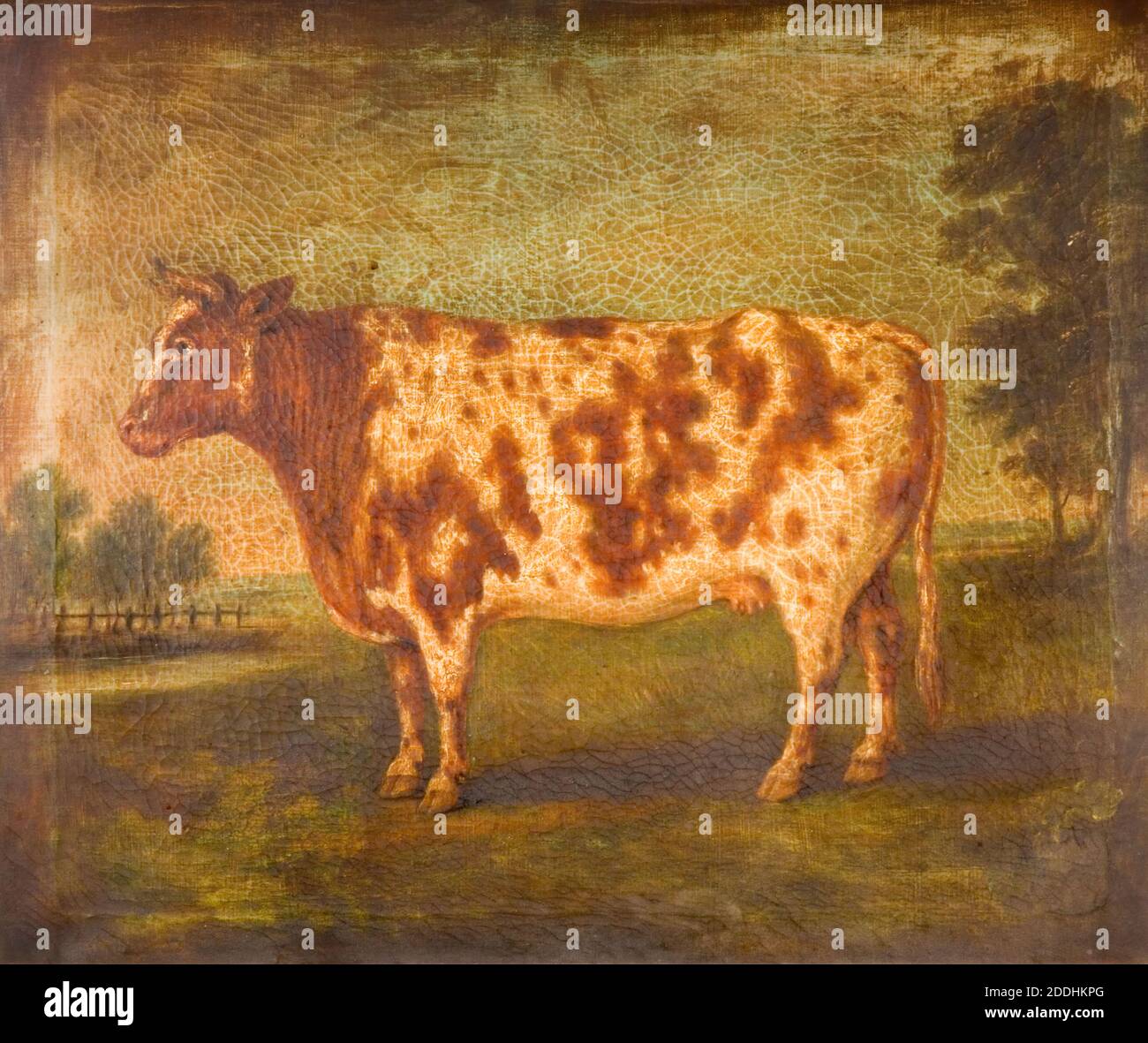 Study of a Shorthorn Cow in a Landscape, [date & Artist unknown ... Study of a Shorthorn Cow in a Landscape, [date & Artist unknown ...