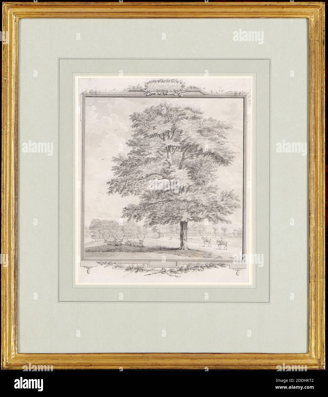 Hide Park, (Artist unknown), Tree, Drawing, Ink, Wildlife, Frame ...