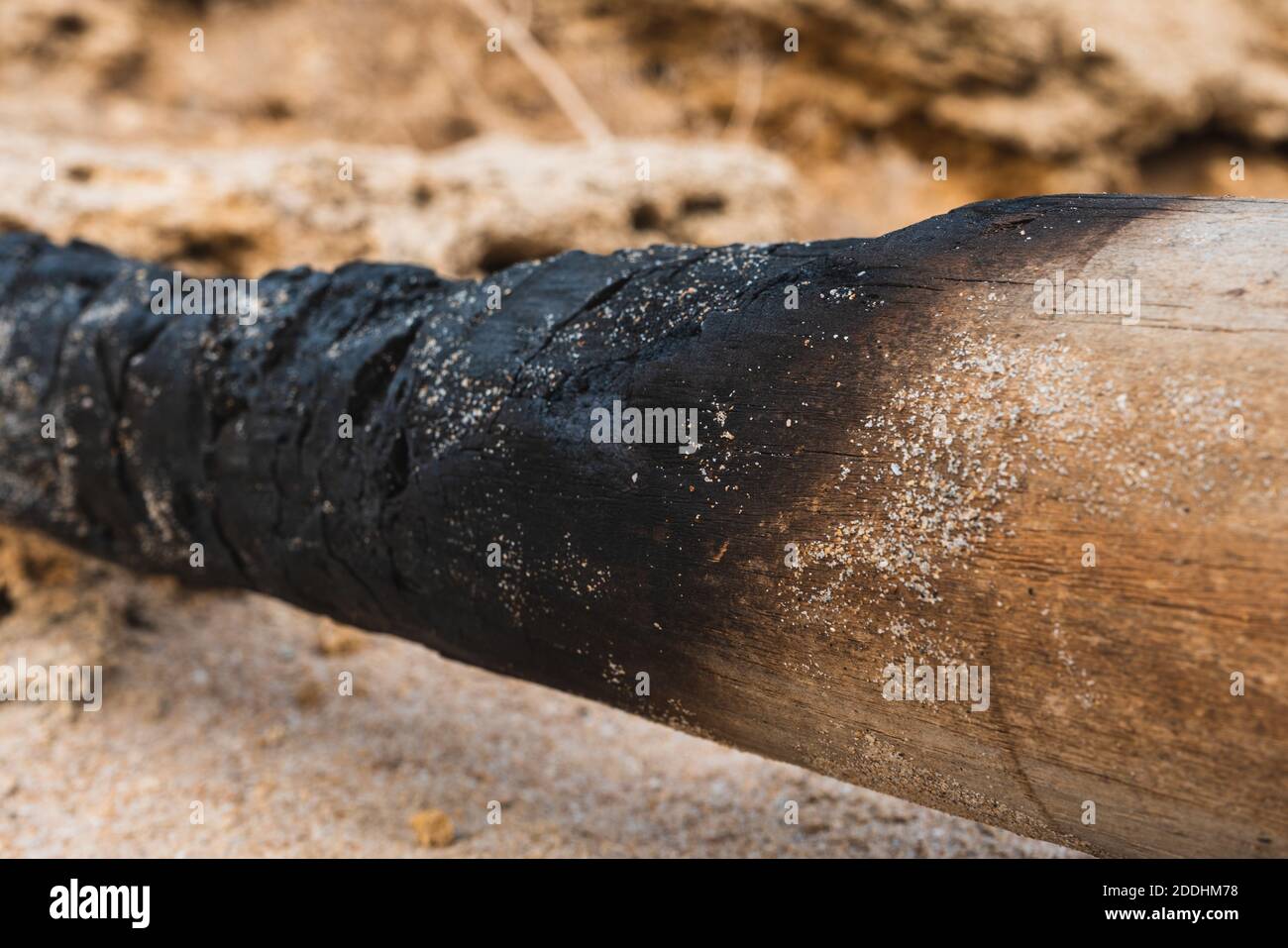 Half burnt tree hi-res stock photography and images - Alamy