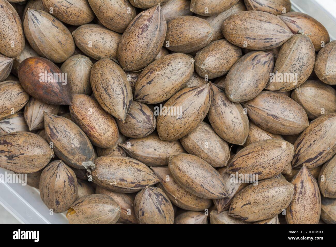 Whole in shell pecan nuts background close up - top view image Stock ...