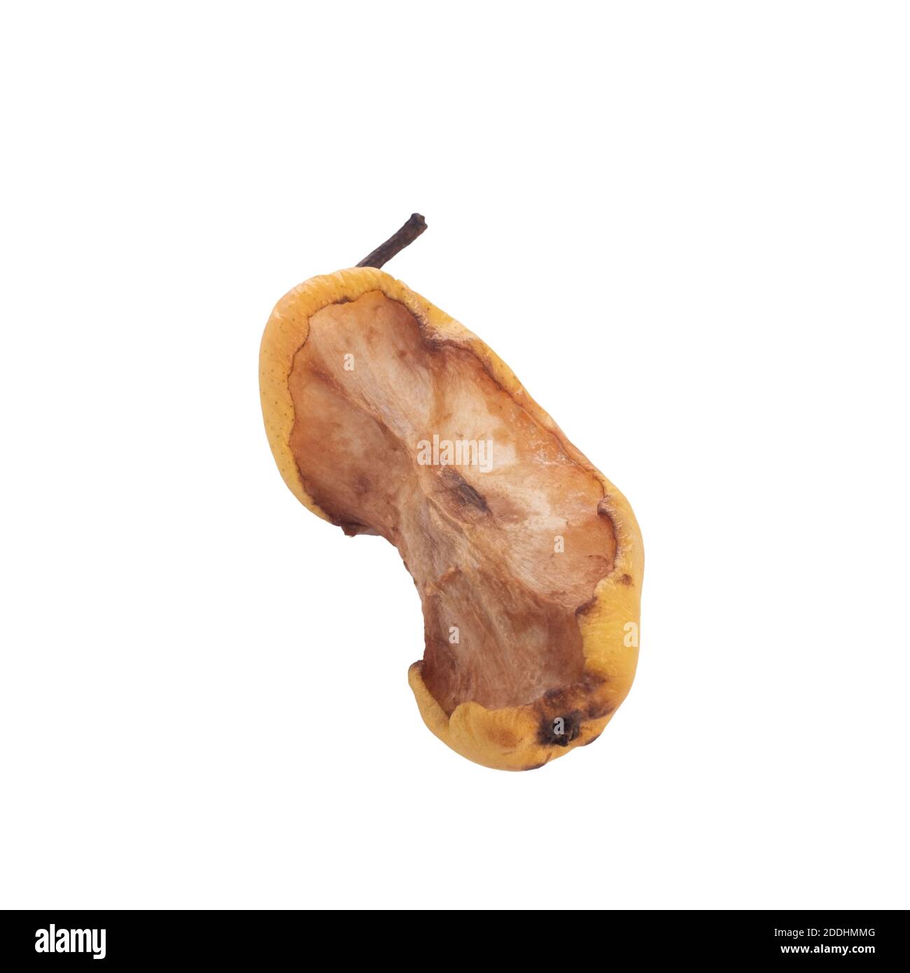 two stub of pear isolated on white background, eat ripe sweet fruit ...
