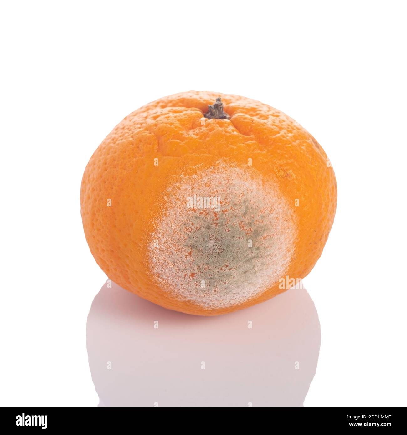 Orange With Mold High Resolution Stock Photography and Images - Alamy