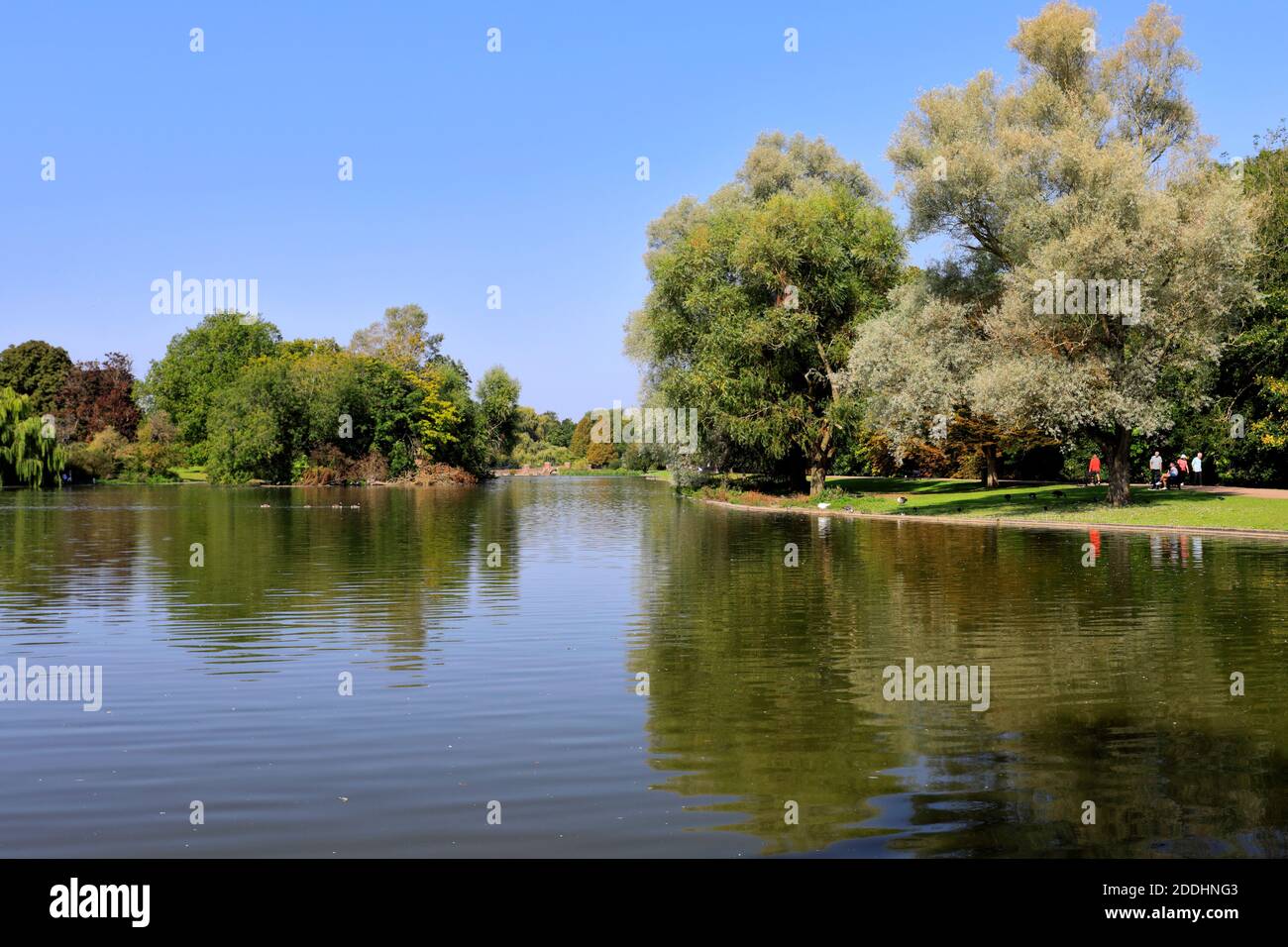 The Verulam Lake, Verulamium Park, St Albans City, Hertfordshire County ...