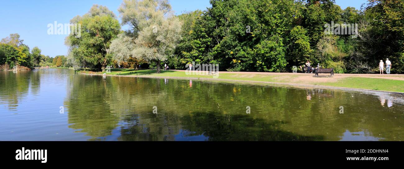 The Verulam Lake, Verulamium Park, St Albans City, Hertfordshire County ...