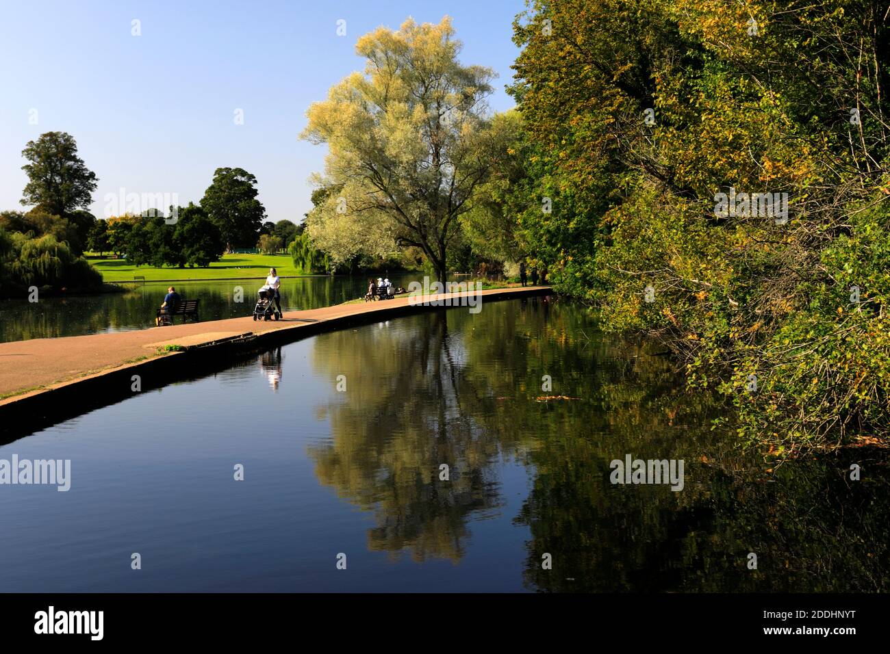 The Verulam Lake, Verulamium Park, St Albans City, Hertfordshire County ...