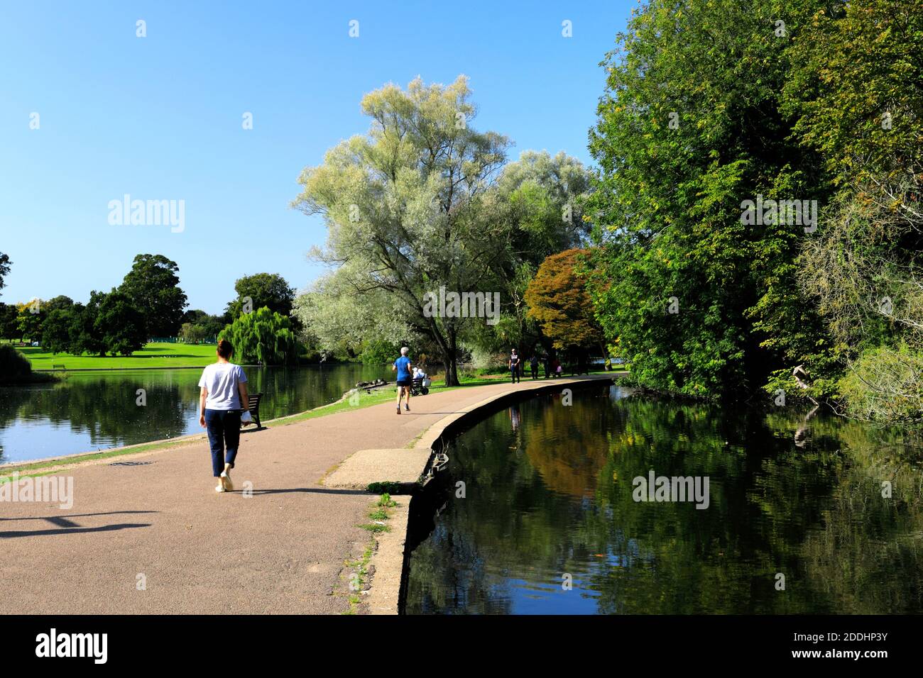 The Verulam Lake, Verulamium Park, St Albans City, Hertfordshire County ...
