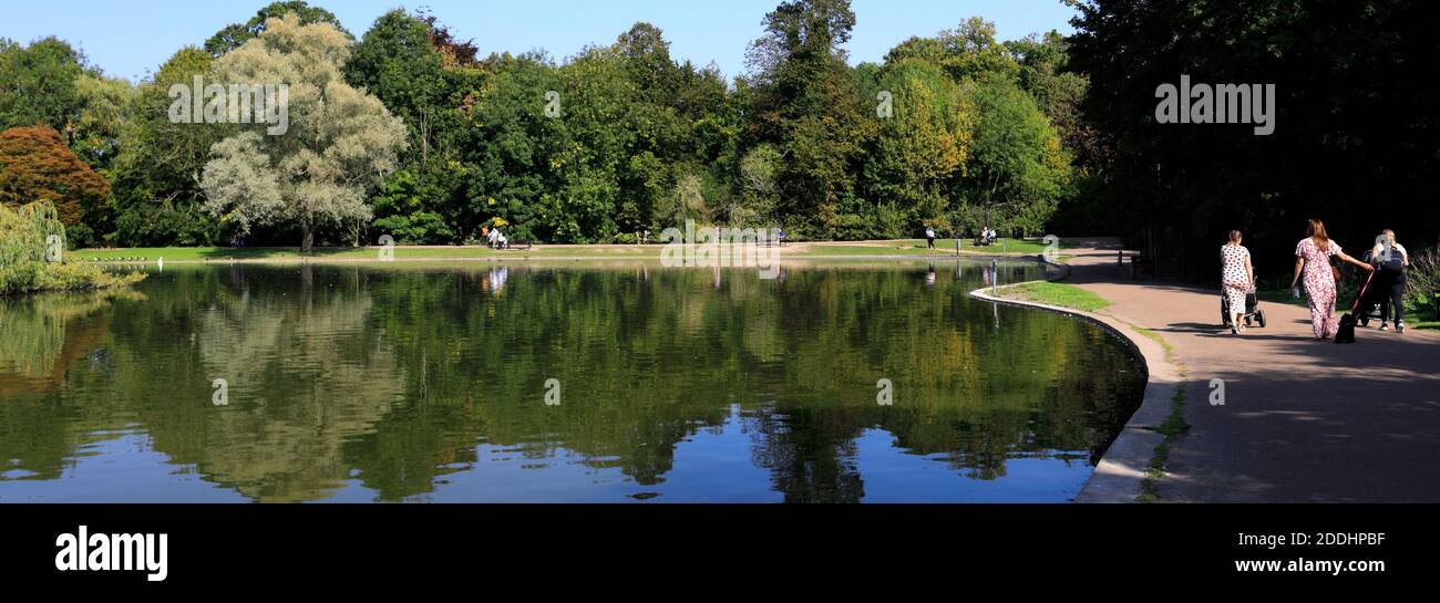 The Verulam Lake, Verulamium Park, St Albans City, Hertfordshire County ...