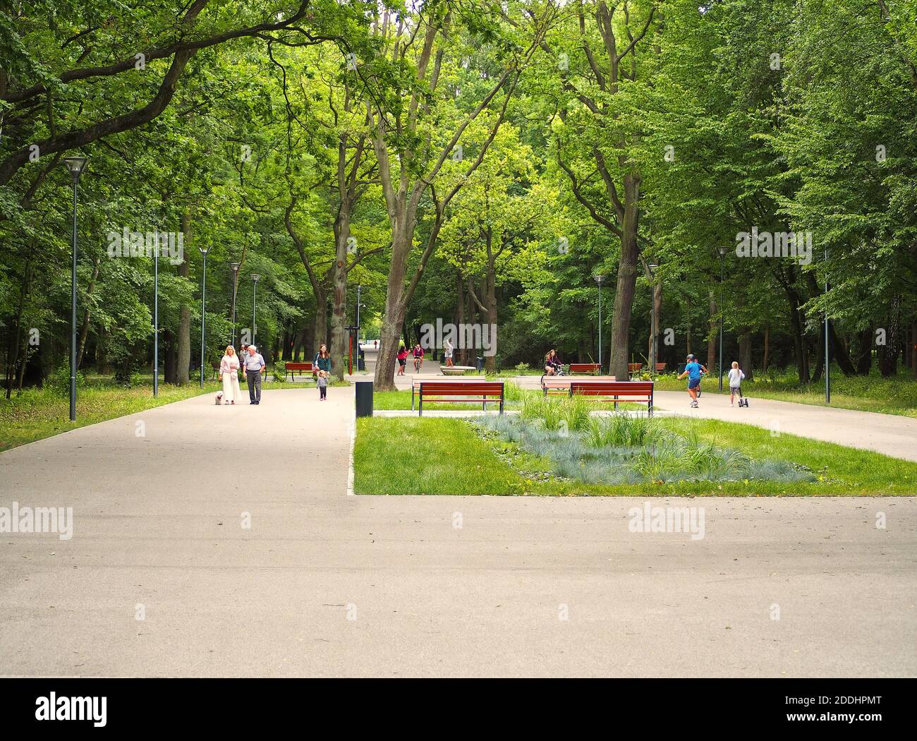 People in park walking and having fun in free time Stock Photo - Alamy