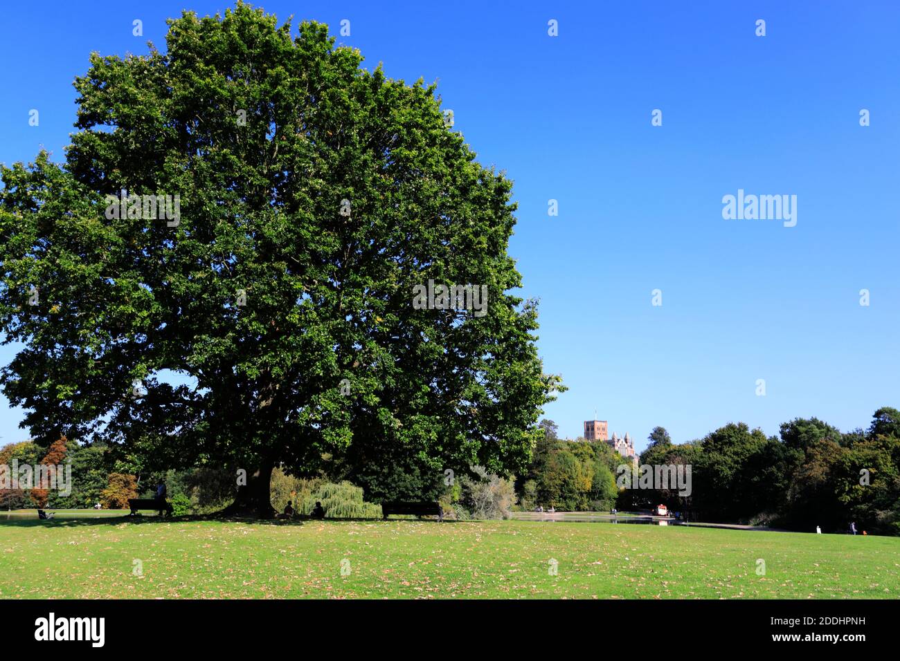 The Roman ruins at Verulamium Park, St Albans City, Hertfordshire ...