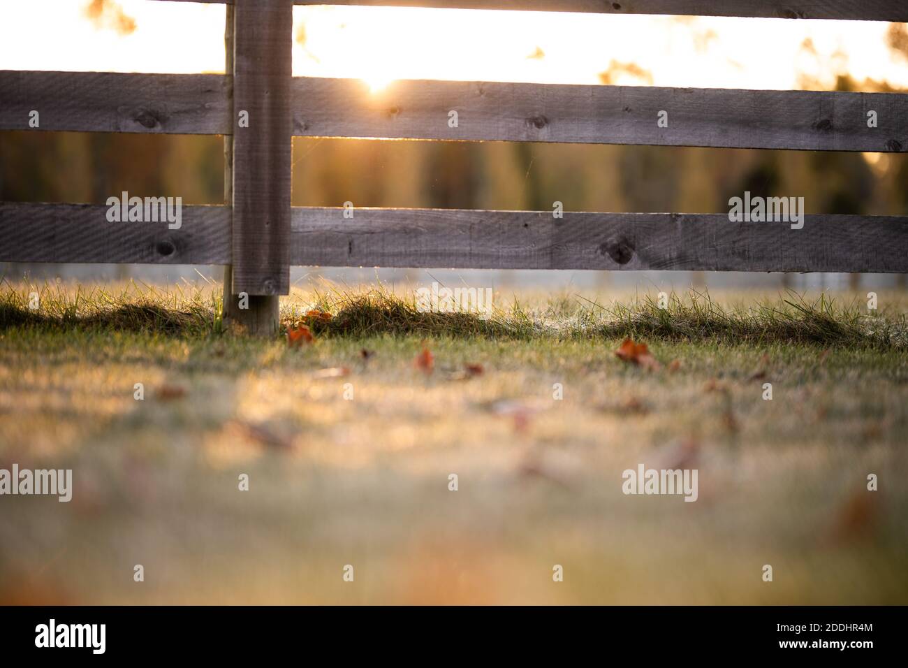 Sun peaking over fence hi-res stock photography and images - Alamy