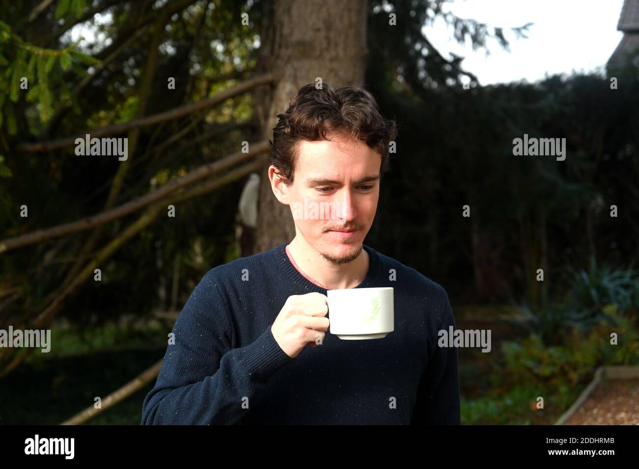 Hot tea in a mug. Natural environment Stock Photo - Alamy