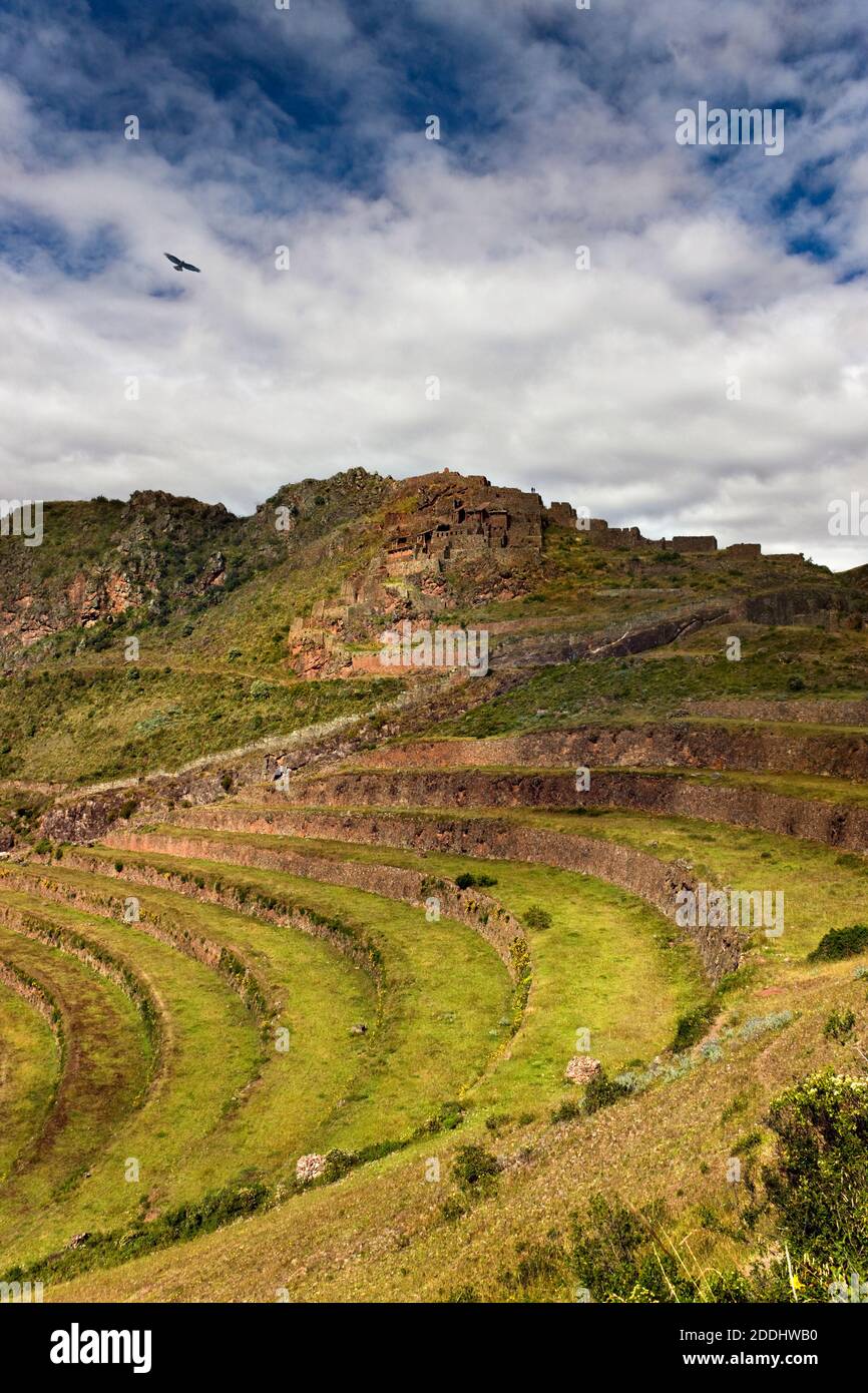 Inca ruins and terraces at Qantus Raqay in the Sacred Valley of the ...