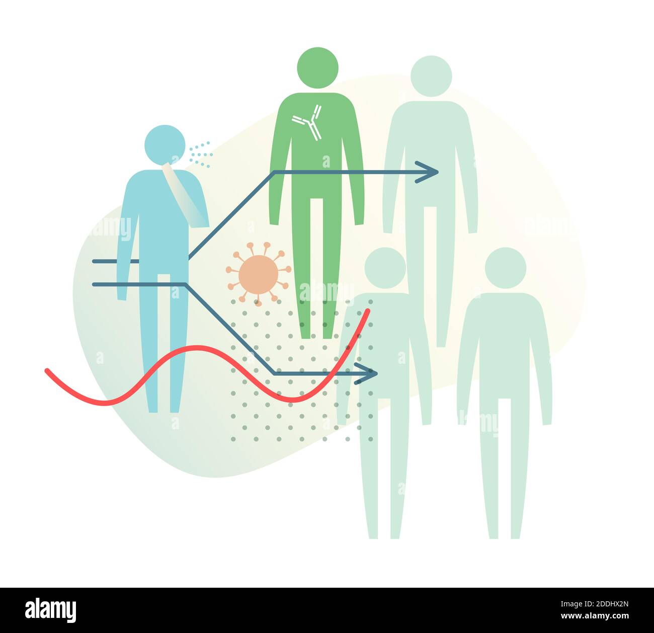 Full immunity hi-res stock photography and images - Alamy