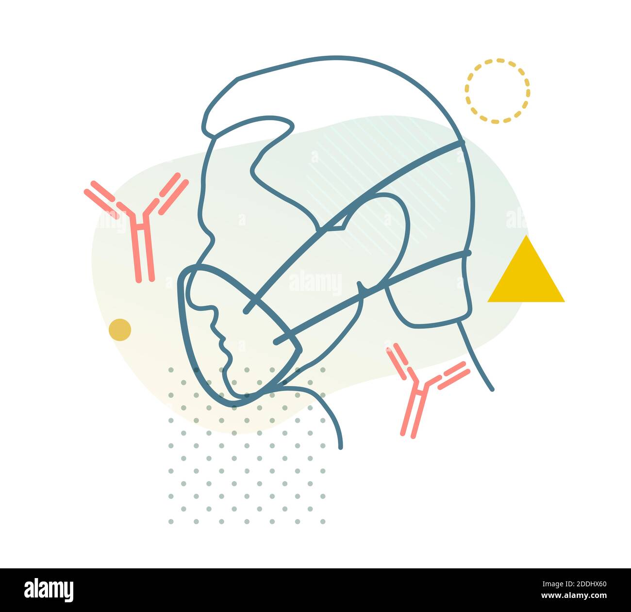 COVID-19 - Antibody Immunity - Illustration as eps 10 File Stock Vector ...