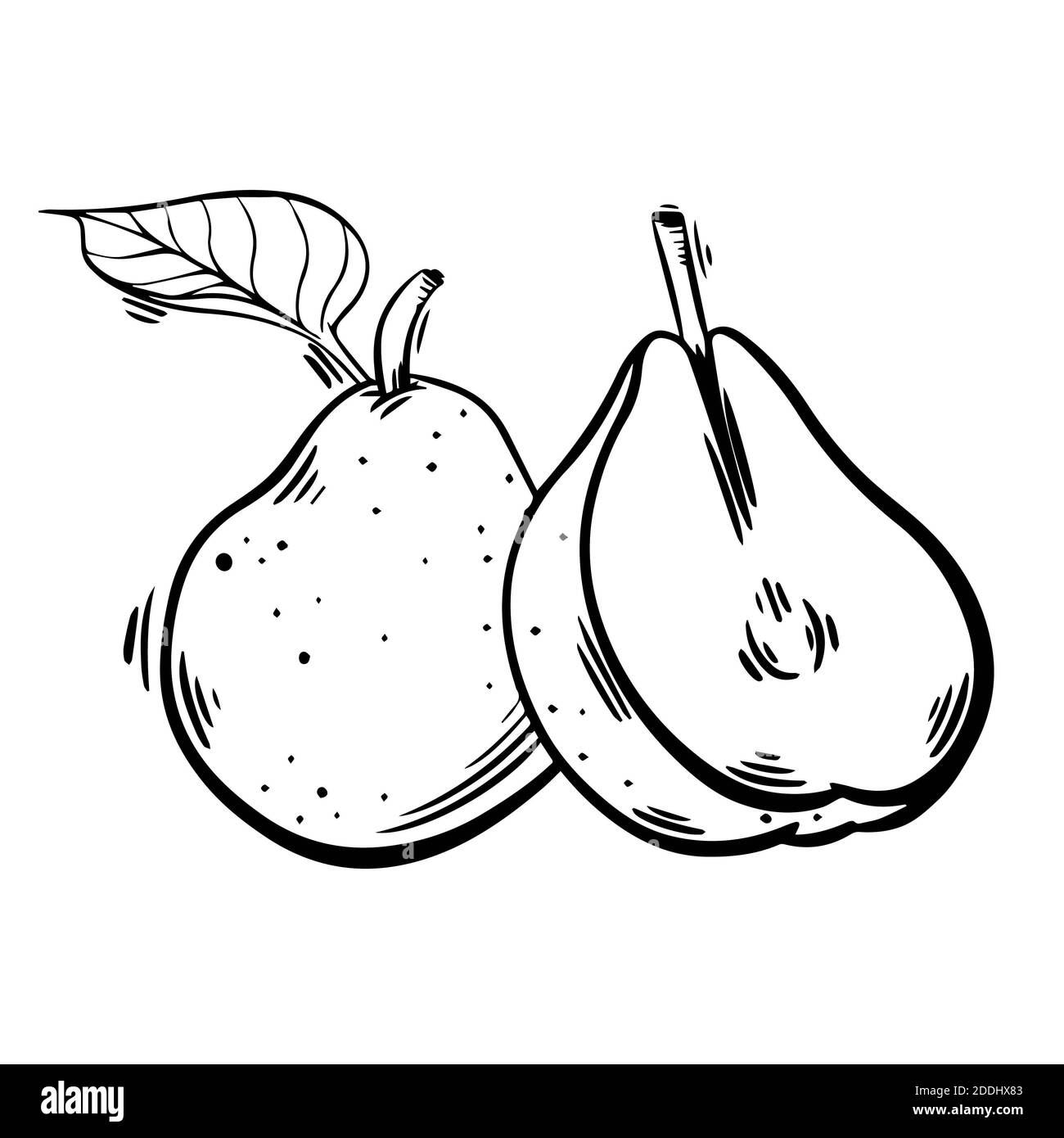 Pear Drawing Outline