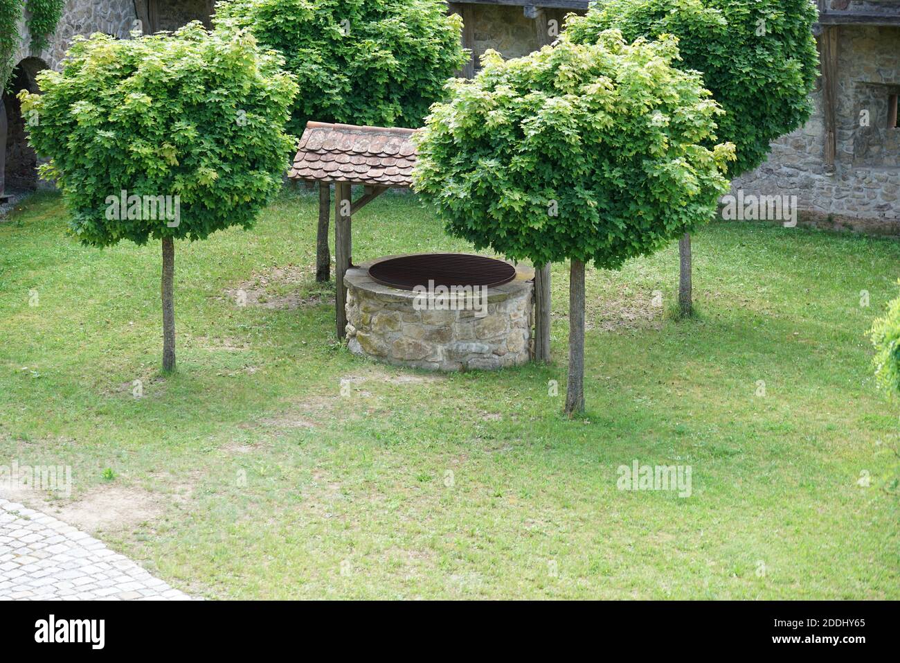 A well in a park surrounded by trees Stock Photo - Alamy