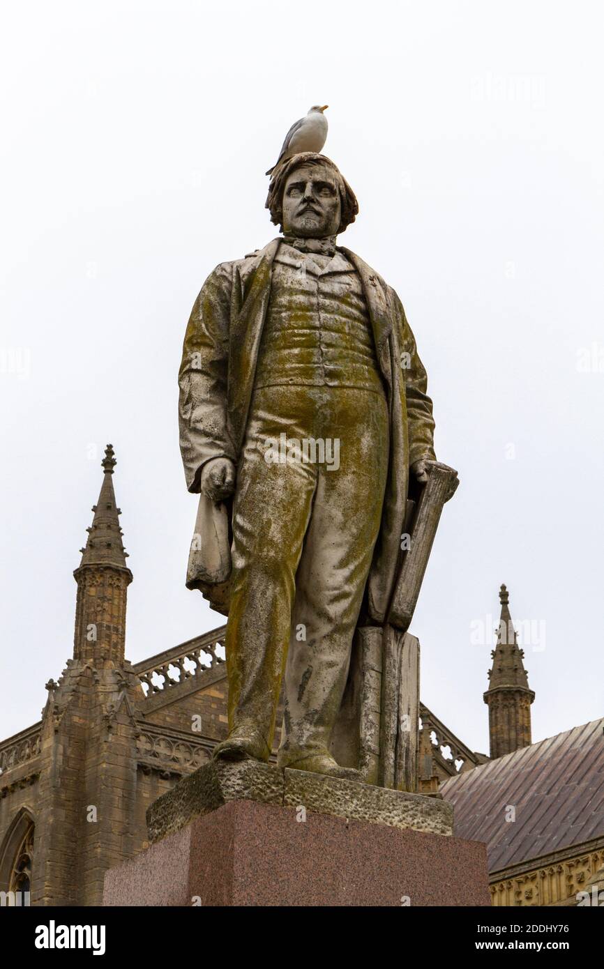 Gull on head of herbert ingram statue hi-res stock photography and ...