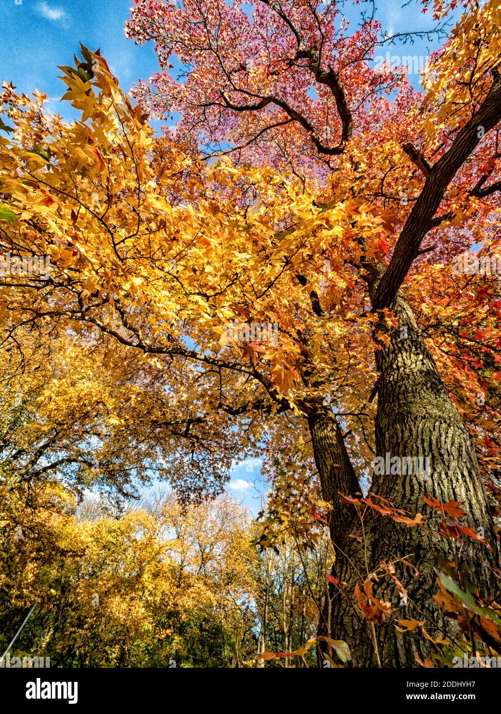 Park slope brooklyn autumn hi-res stock photography and images - Alamy