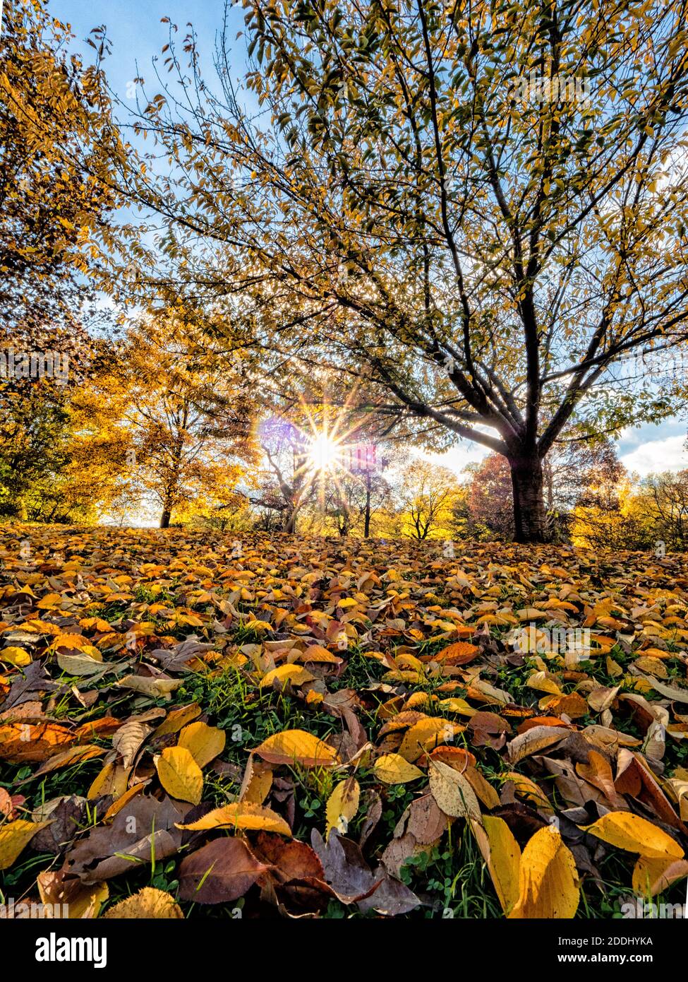 Park slope brooklyn autumn hi-res stock photography and images - Alamy