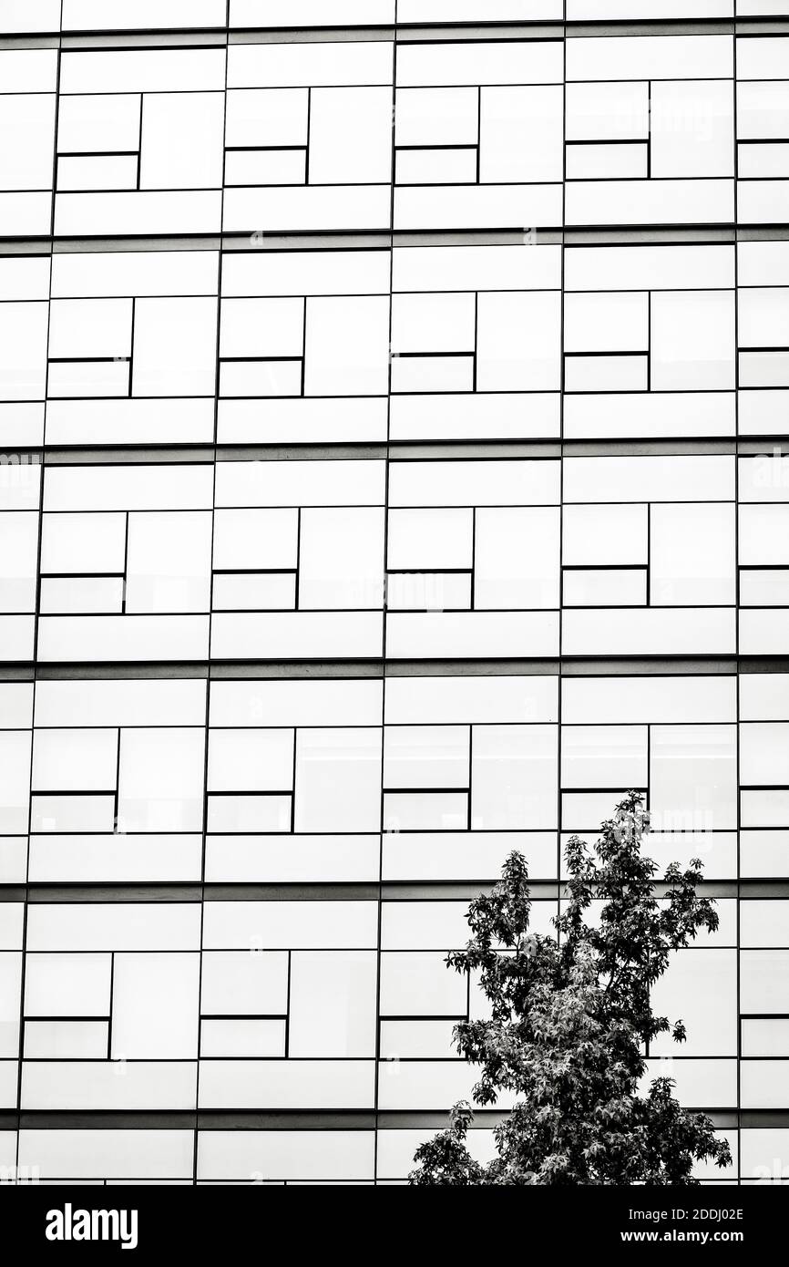 The building disorganized hi-res stock photography and images - Alamy