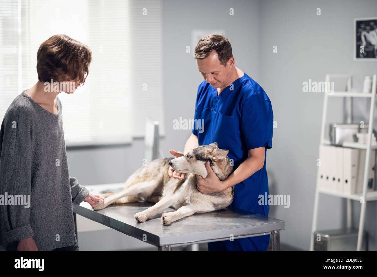 A young woman standing by the table and looking at her pet, while a ...