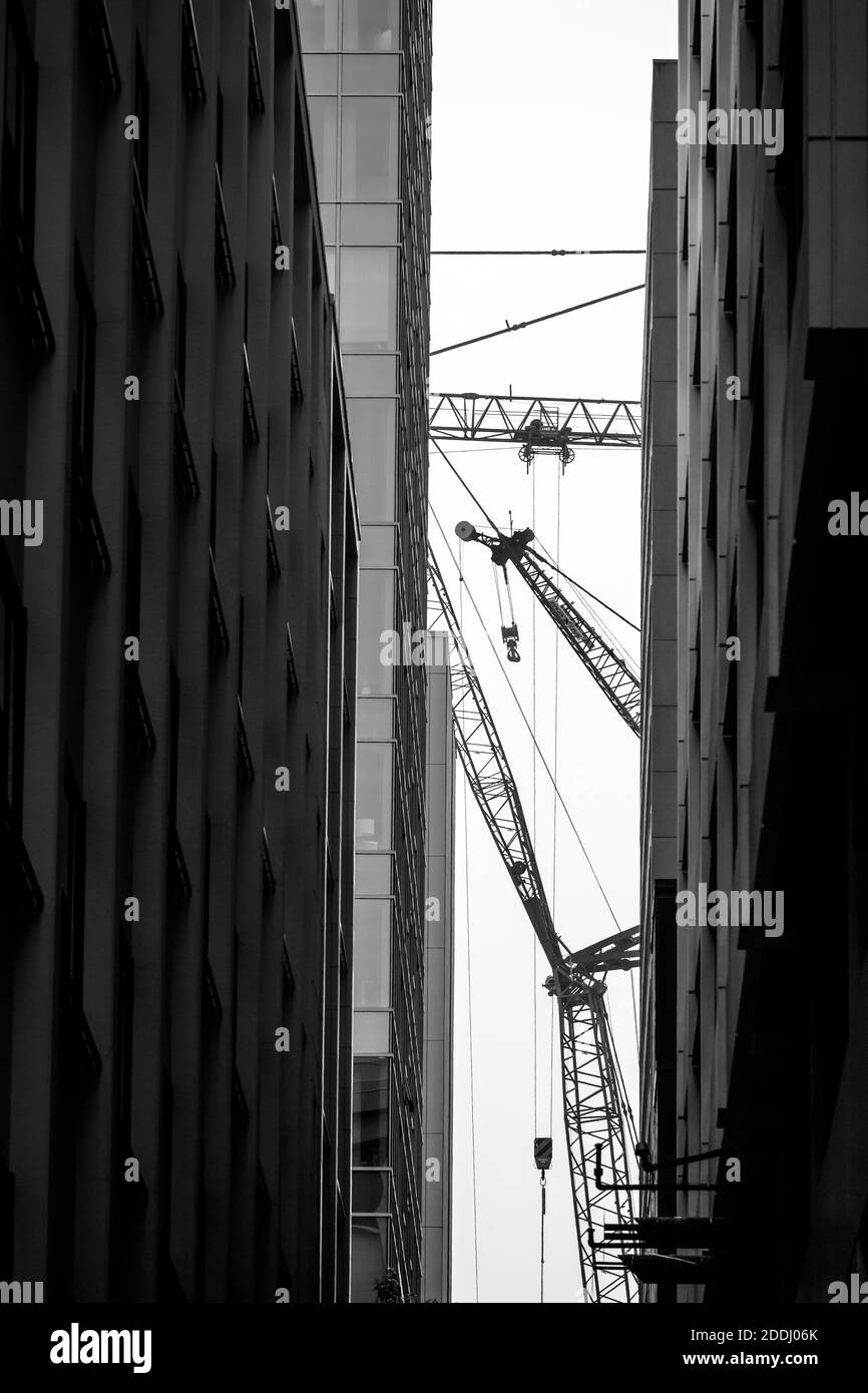 Interwoven Black and White Stock Photos & Images - Alamy