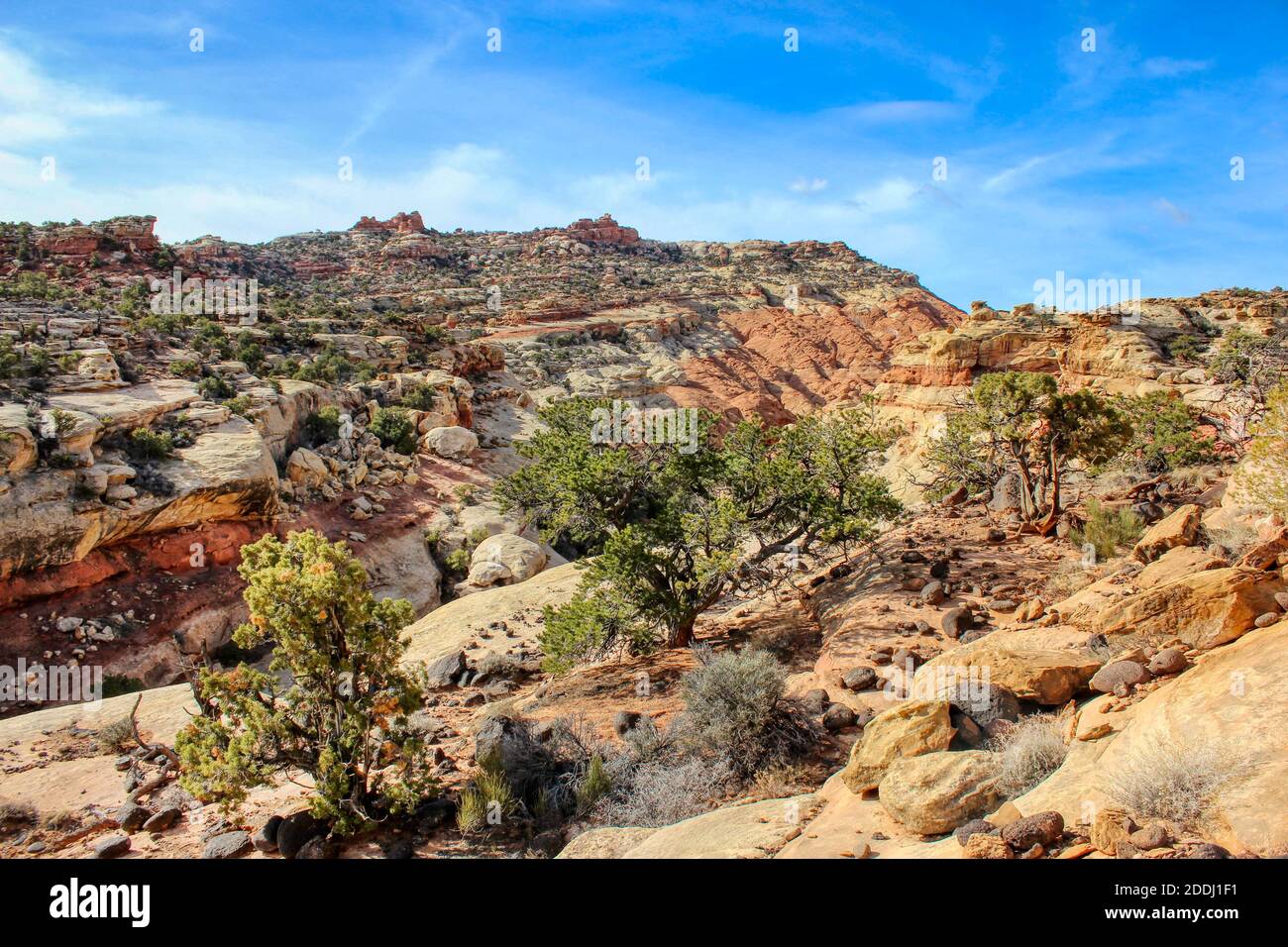 Terrain and environment hi-res stock photography and images - Alamy